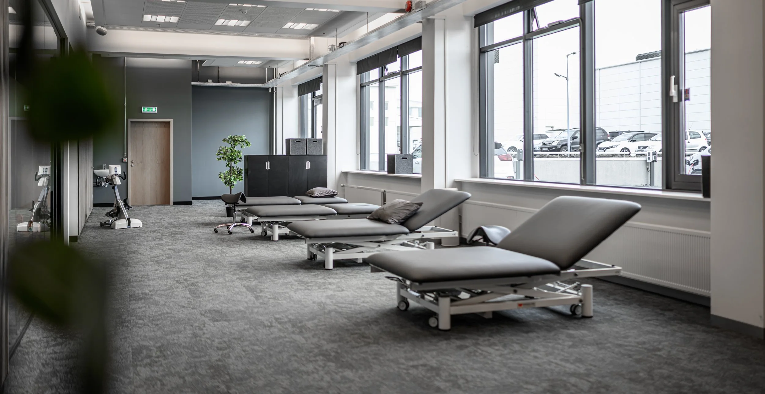 Seigla - Sjúkraþjálfun