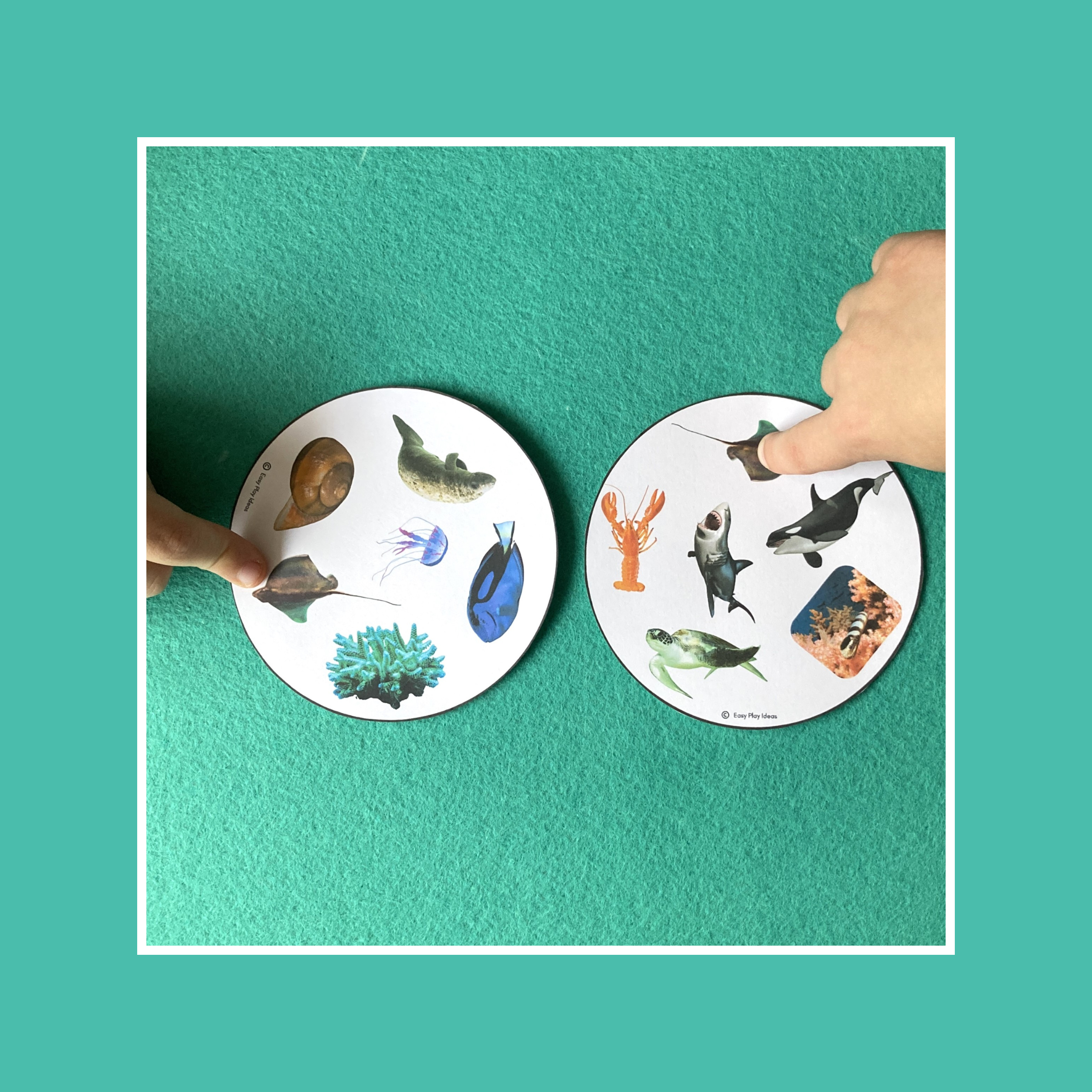 Ocean Matching Game for Discussion & Oral Language