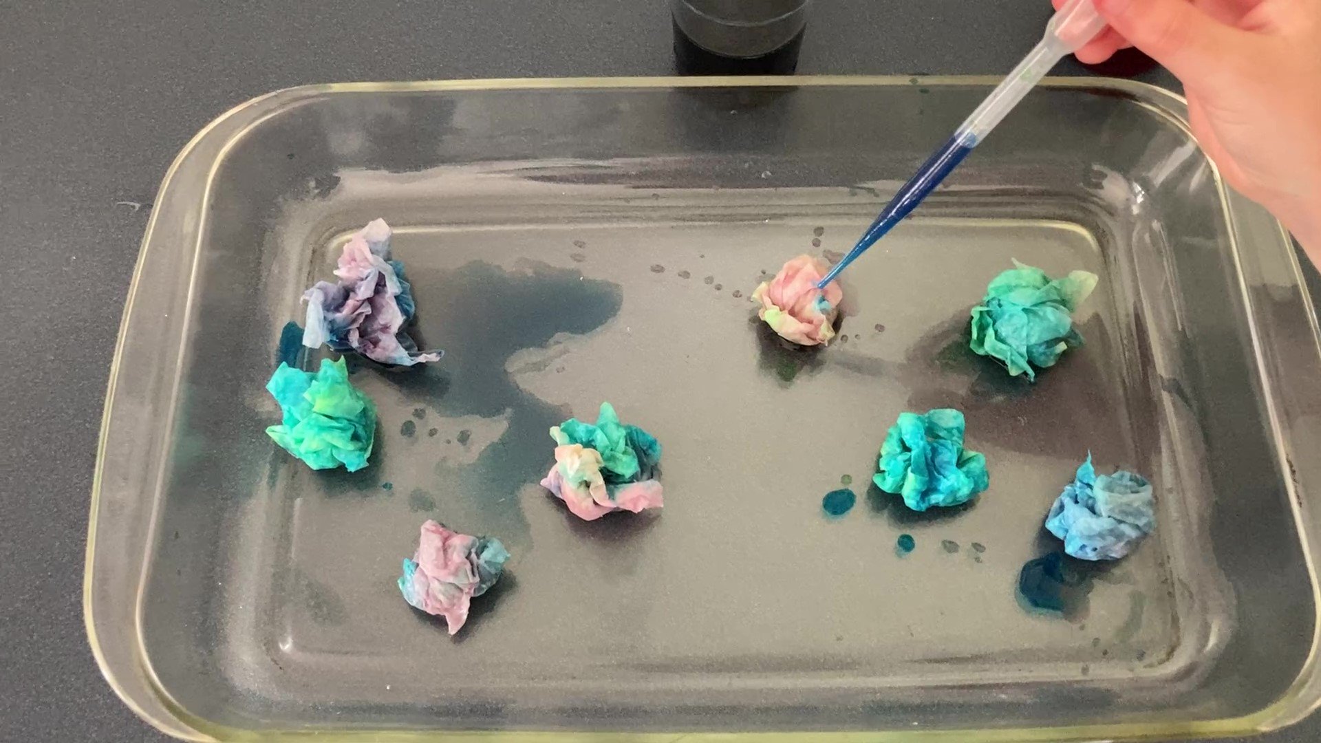 4 Easy Water Science Experiments for Kids to do Themselves
