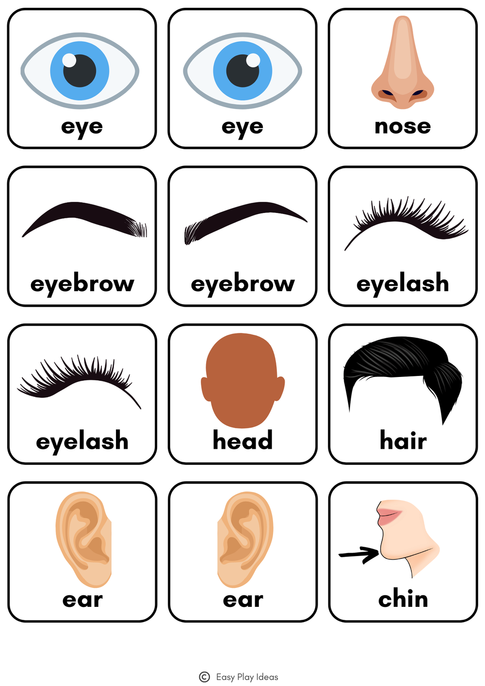 Body Park Labelling Cards