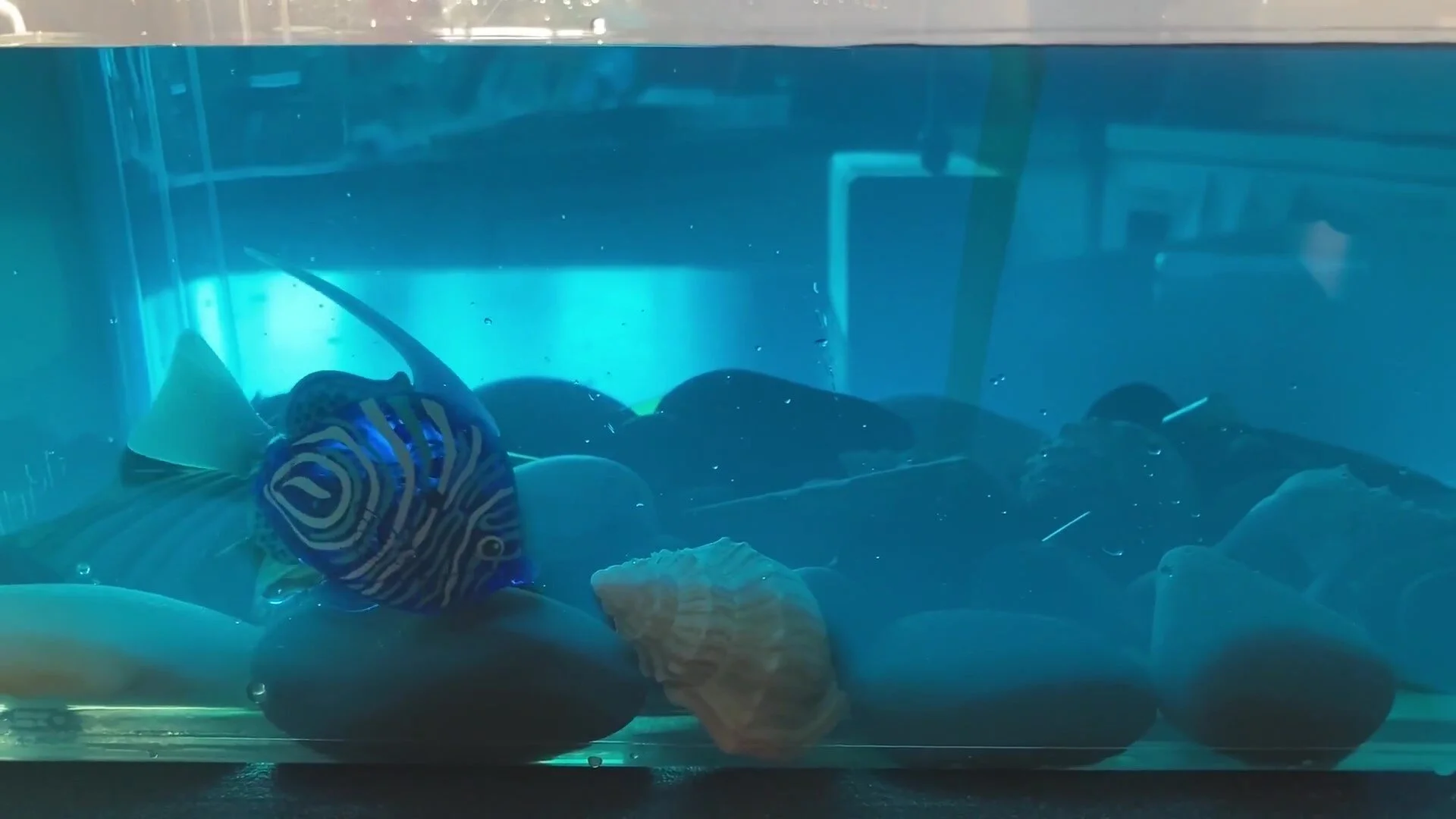 Make your own ocean - a fun and easy water play activity for kids ...