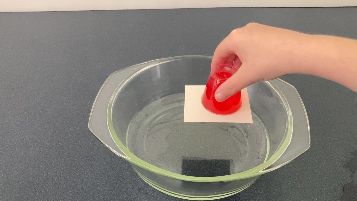 4 Easy Water Science Experiments for Kids to do Themselves