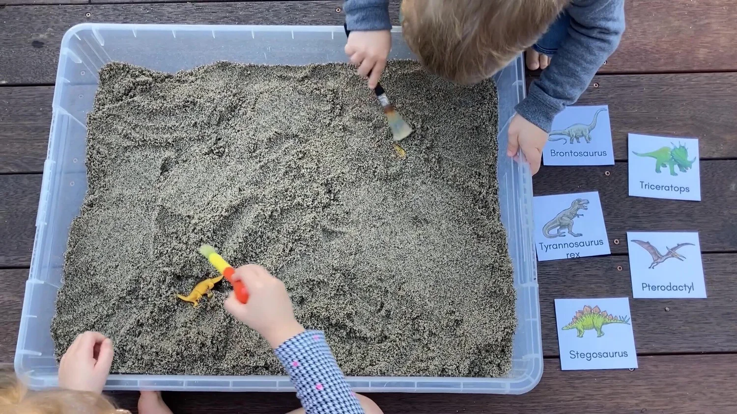 Dinosaur finding and matching sand activity
