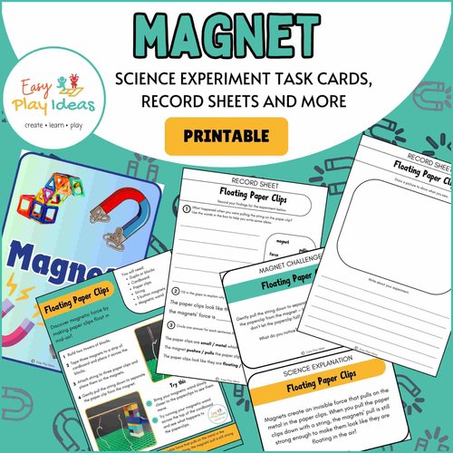 Fun Magnet Science Experiments
