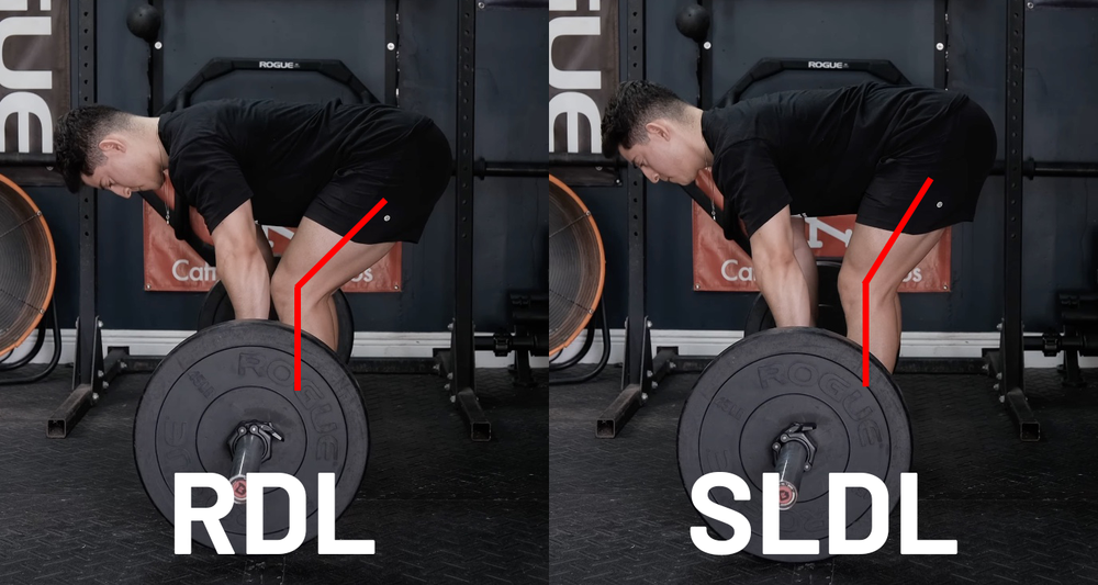 RDL vs. SLDL — Obey Strength
