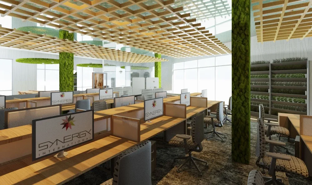 Sustainable Office Interior Design — Allison Fresco Interiors