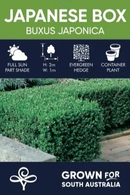 Our Plants — Heynes Wholesale