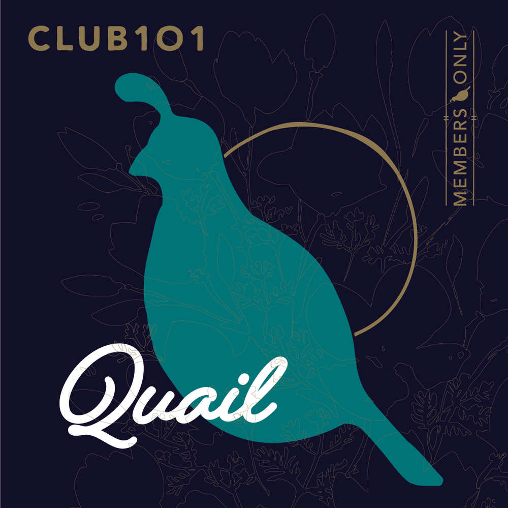 Quail - Old Town Temecula Beer & Wine Bar