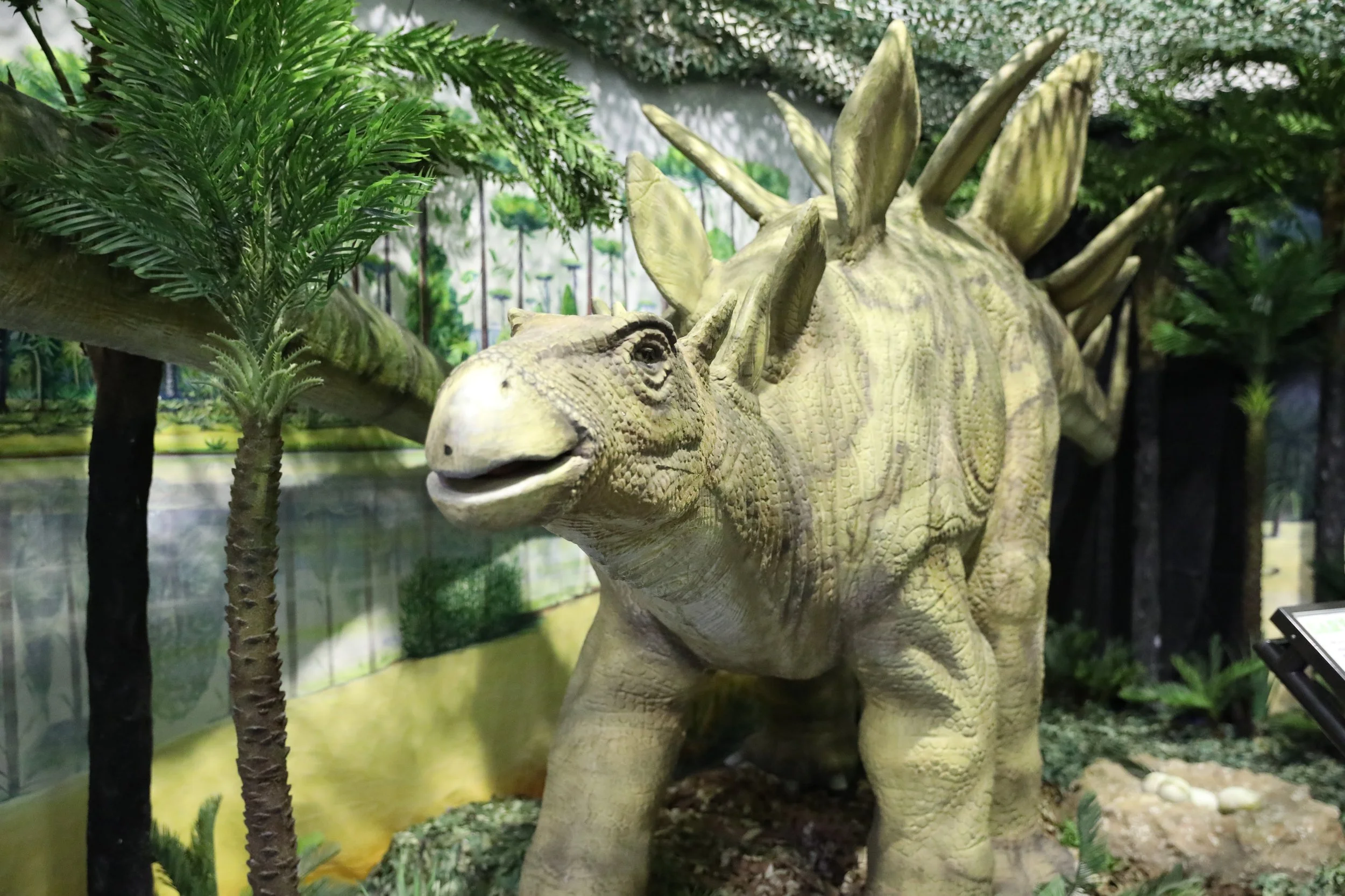 Gallery 1 — Explorasaurus