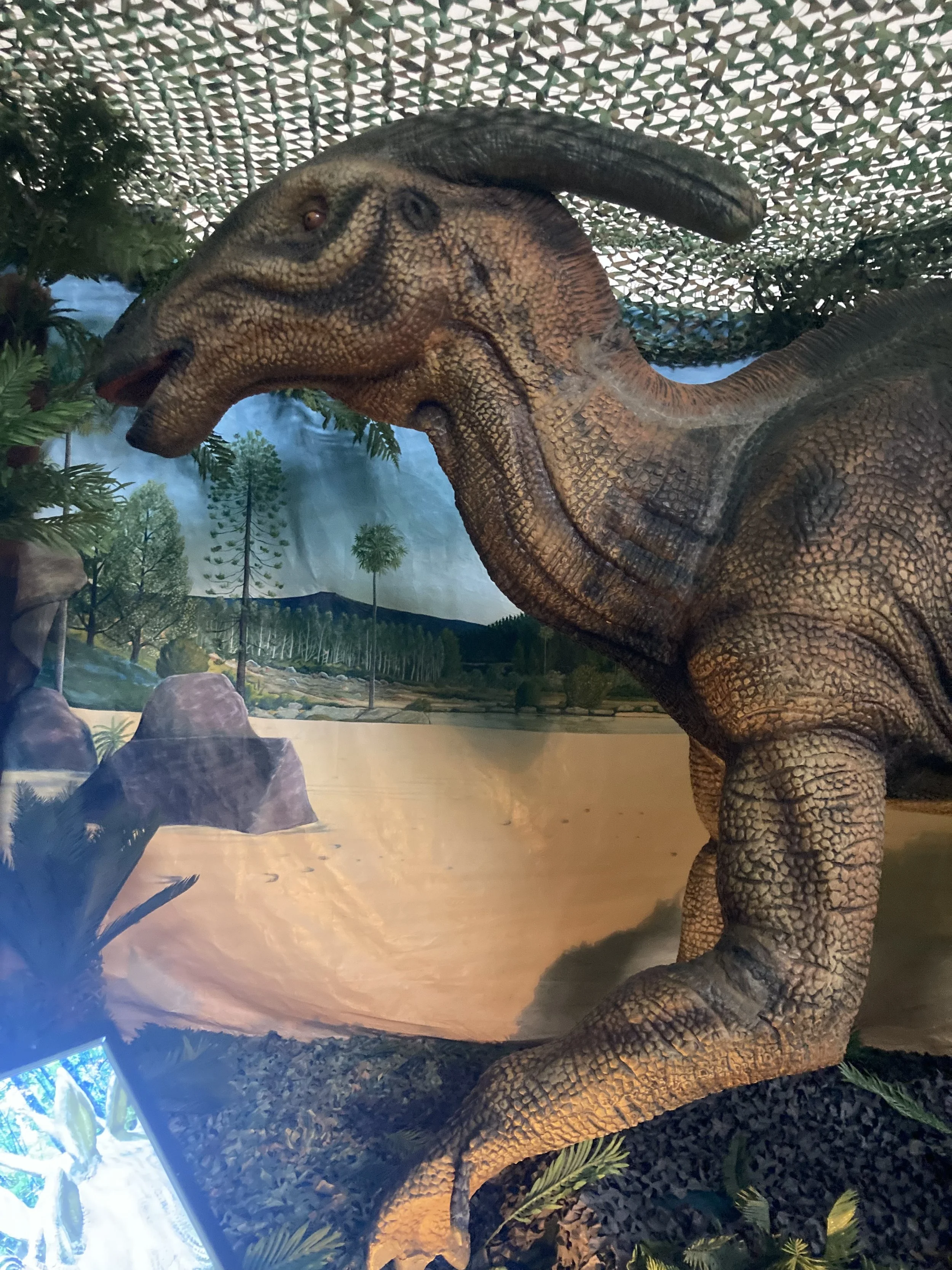 Gallery 1 — Explorasaurus