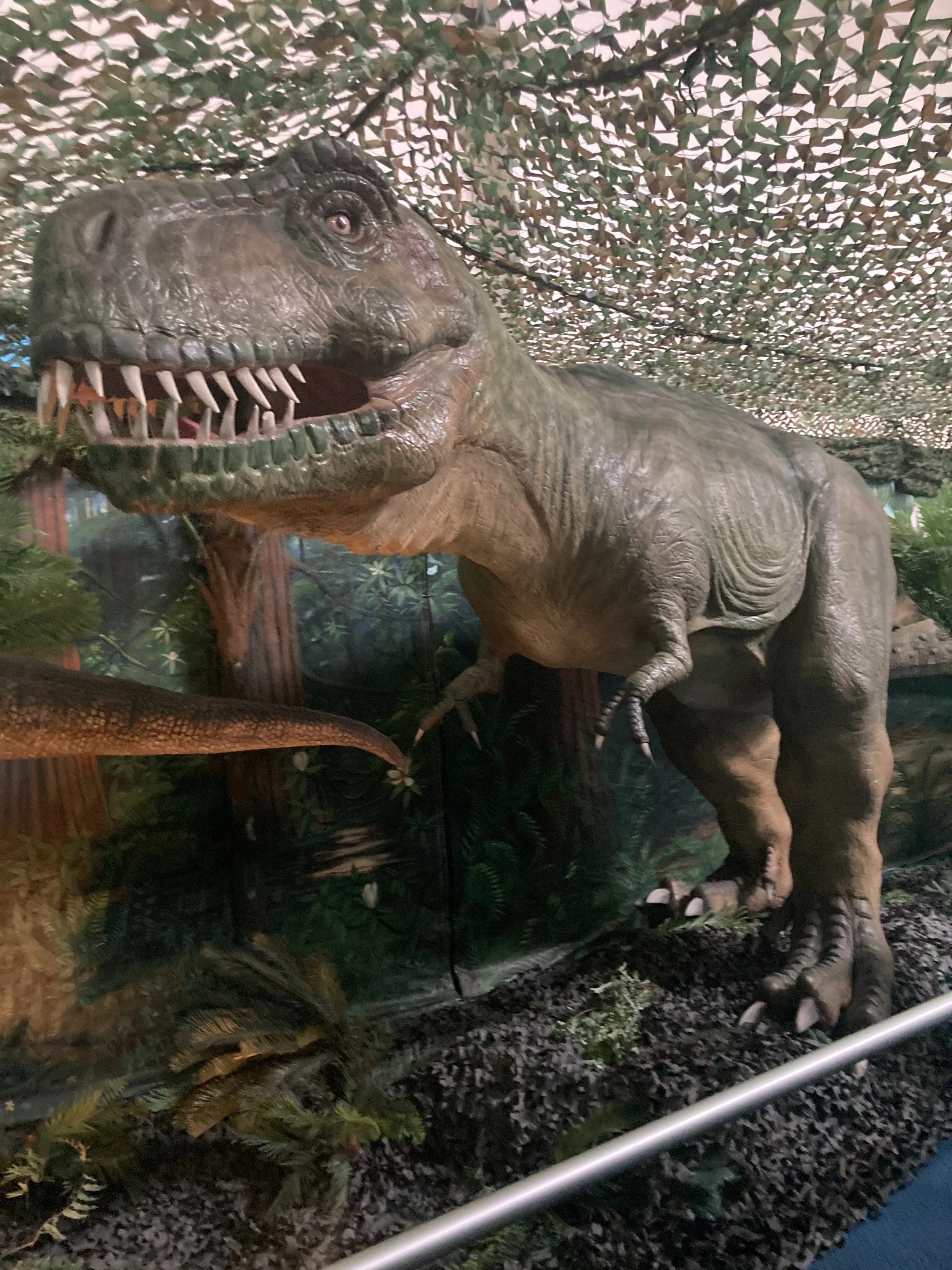 Gallery 1 — Explorasaurus