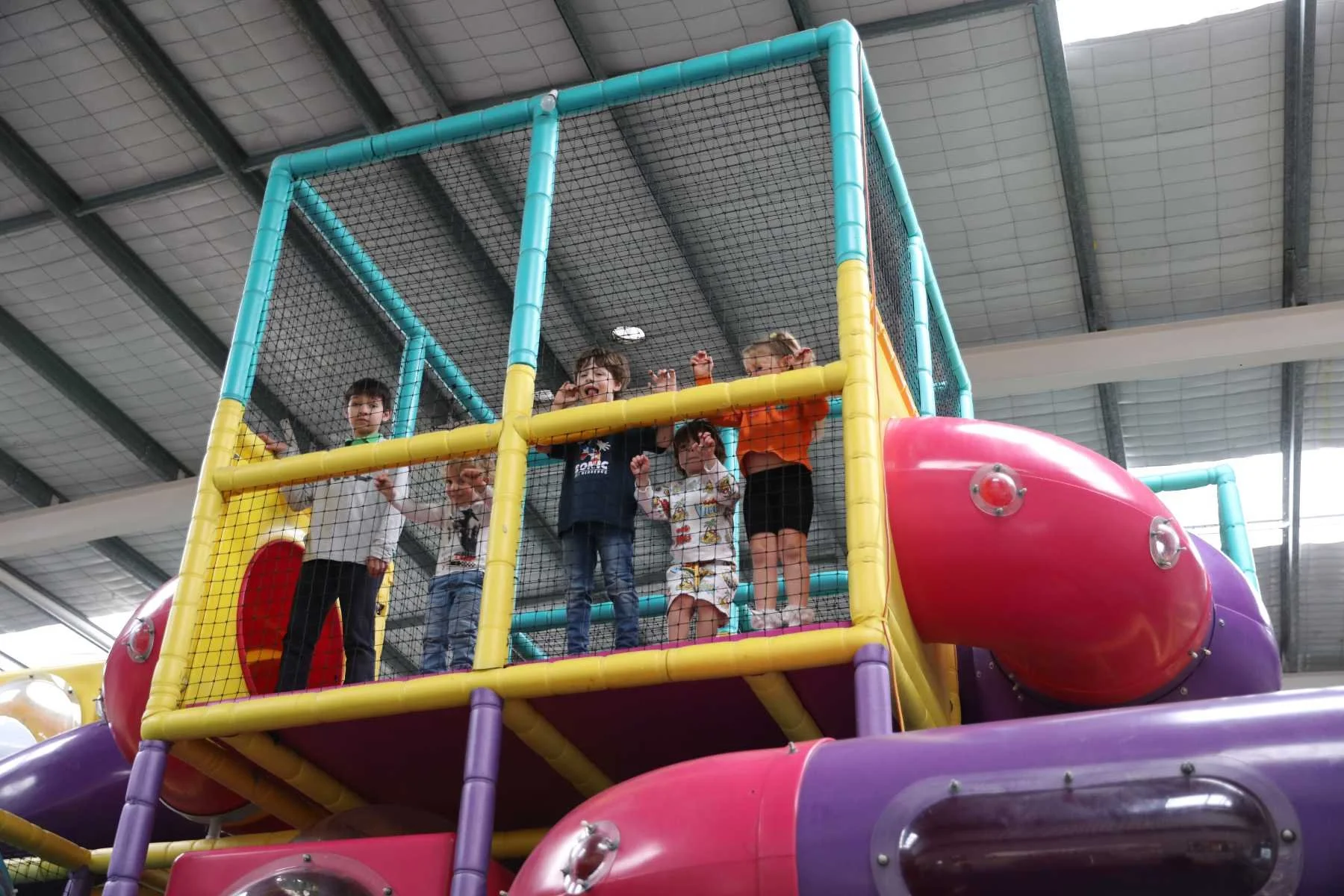 Gallery 1 — Explorasaurus