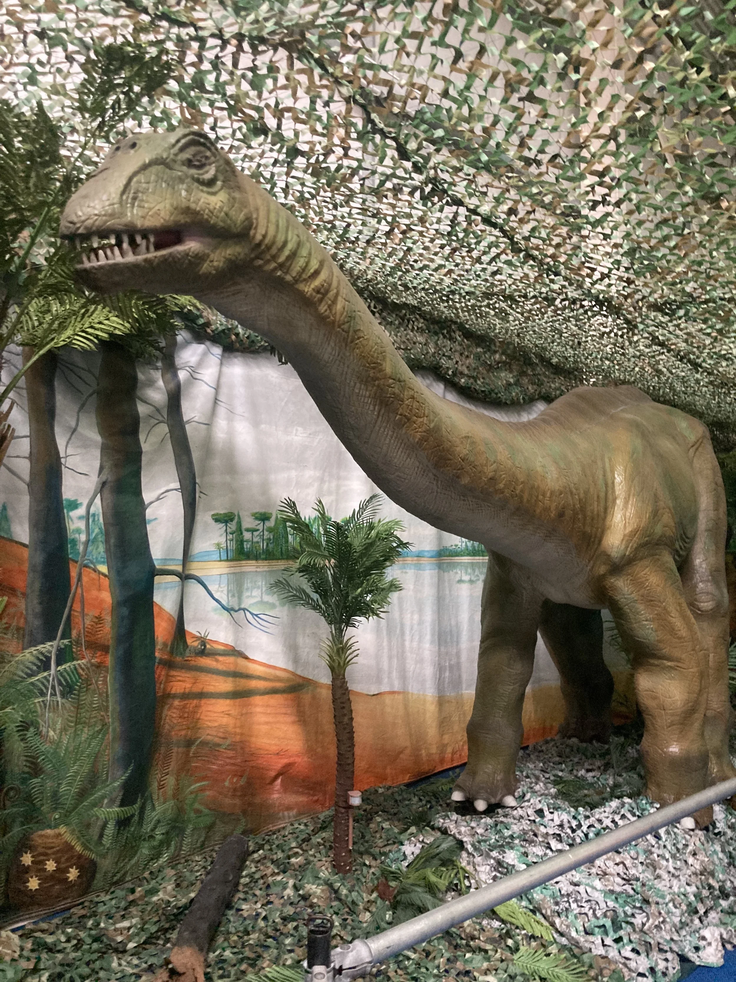 Gallery 1 — Explorasaurus