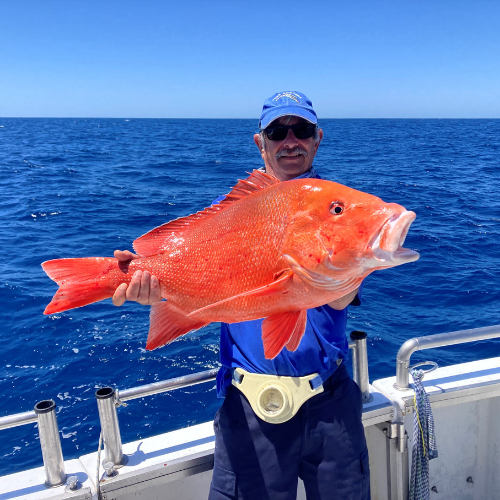 North West Fishing Charters - Perth Boat Charters - Apache Charters