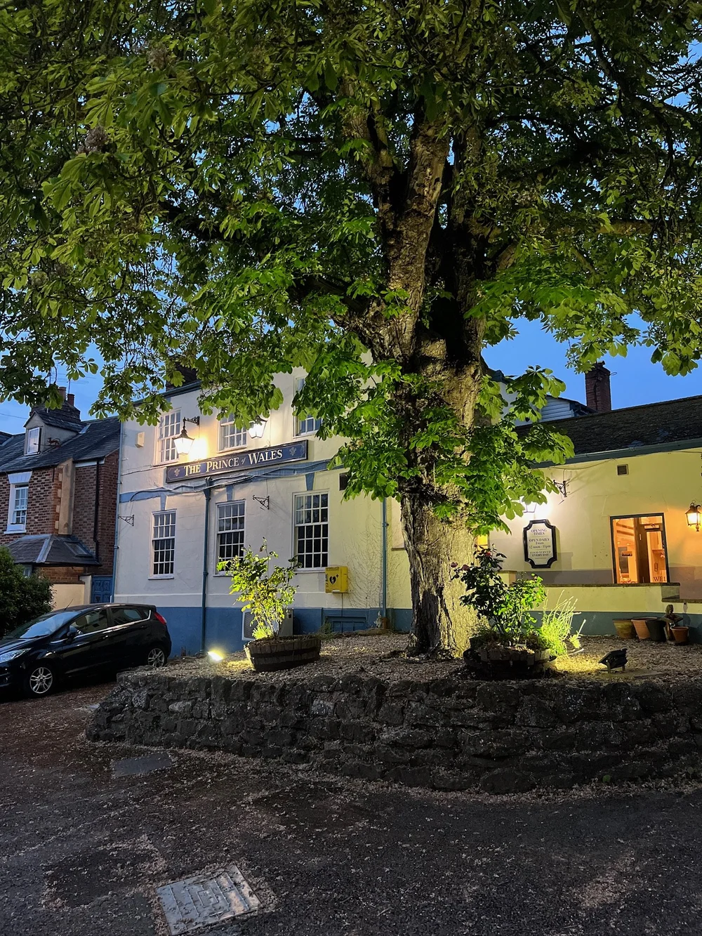 The Prince of Wales at Iffley