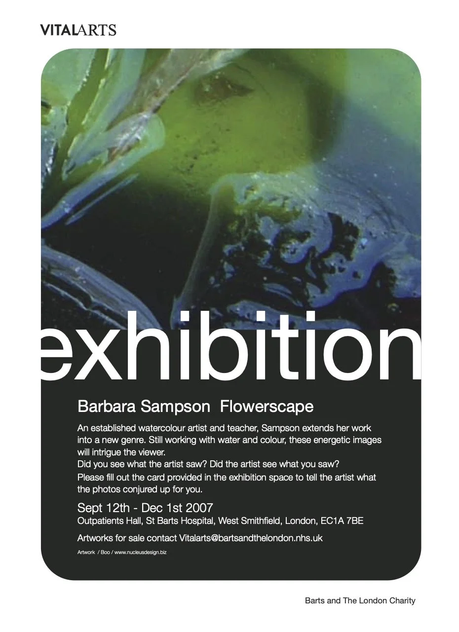 Exhibition: Barbara Sampson — Vital Arts