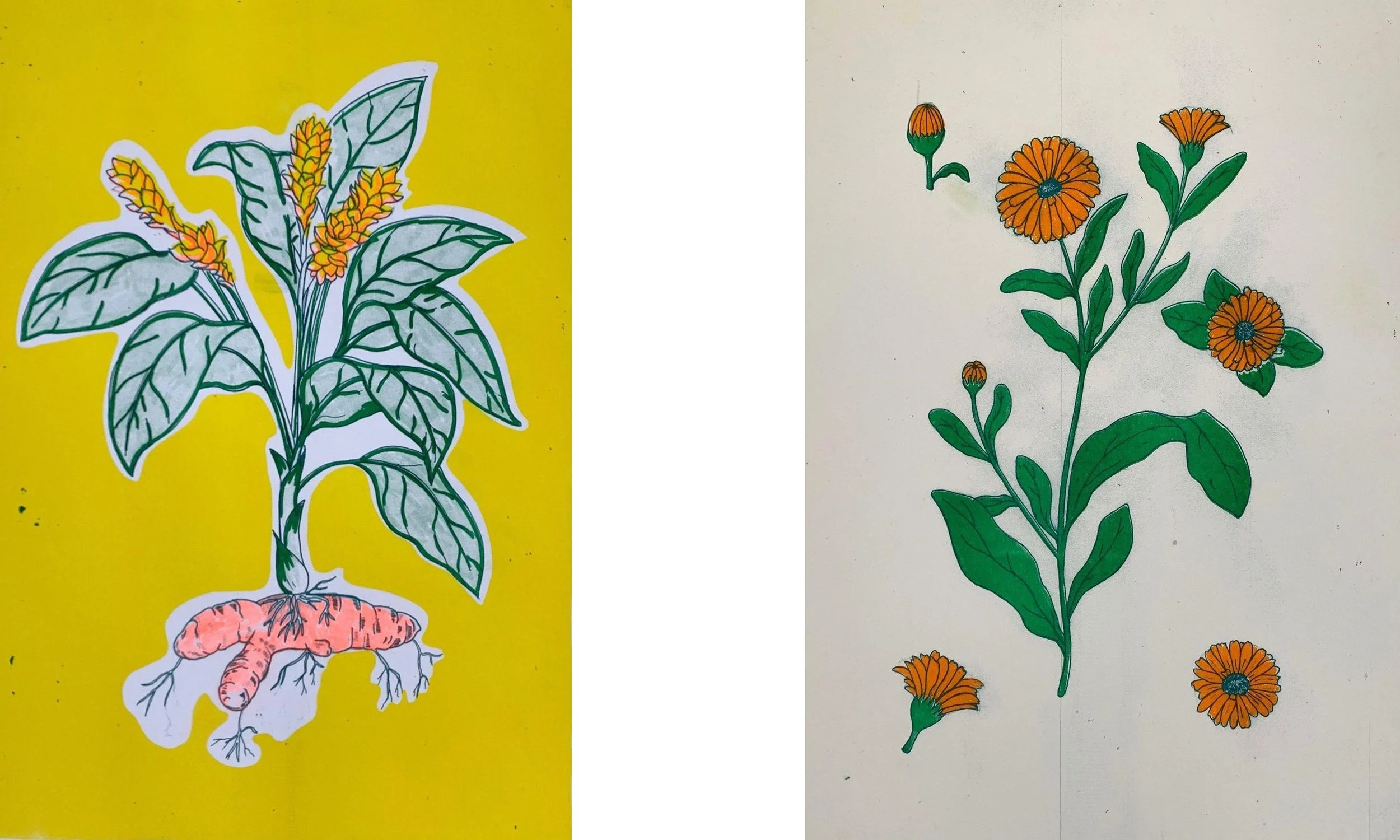 Rabbits Road Press — Vital Arts