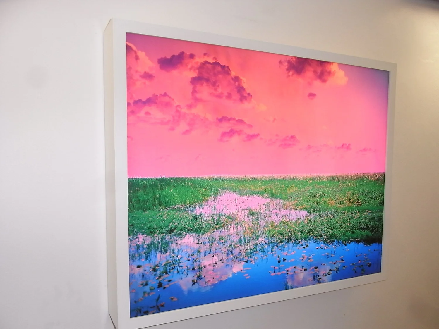 Catherine Yass — Vital Arts