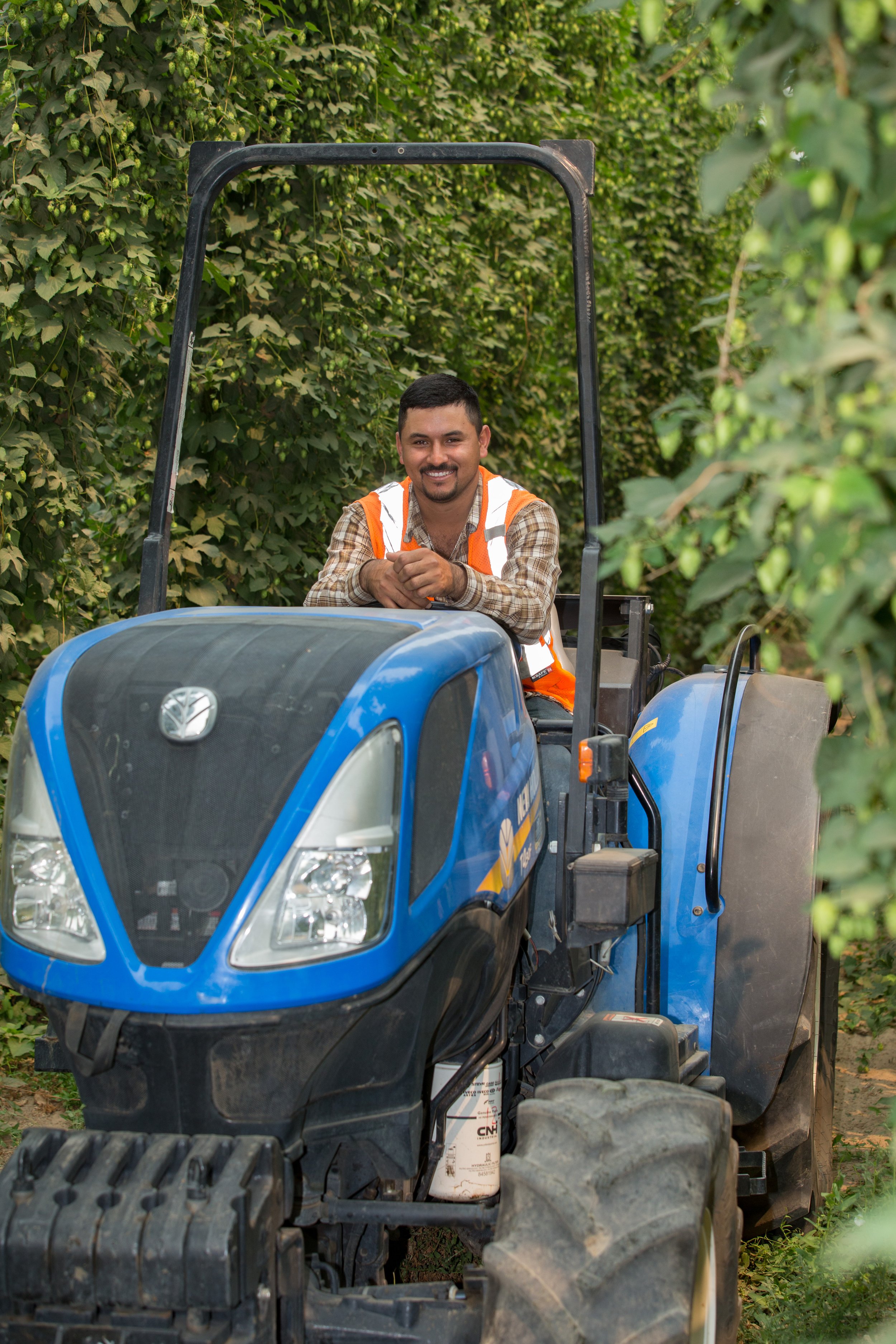 AgWorks H2 | másLabor