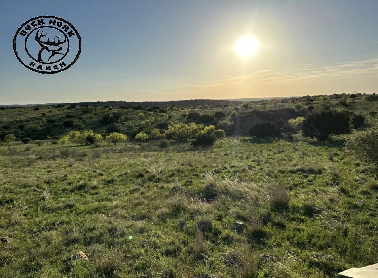 About — Buck Horn Ranch