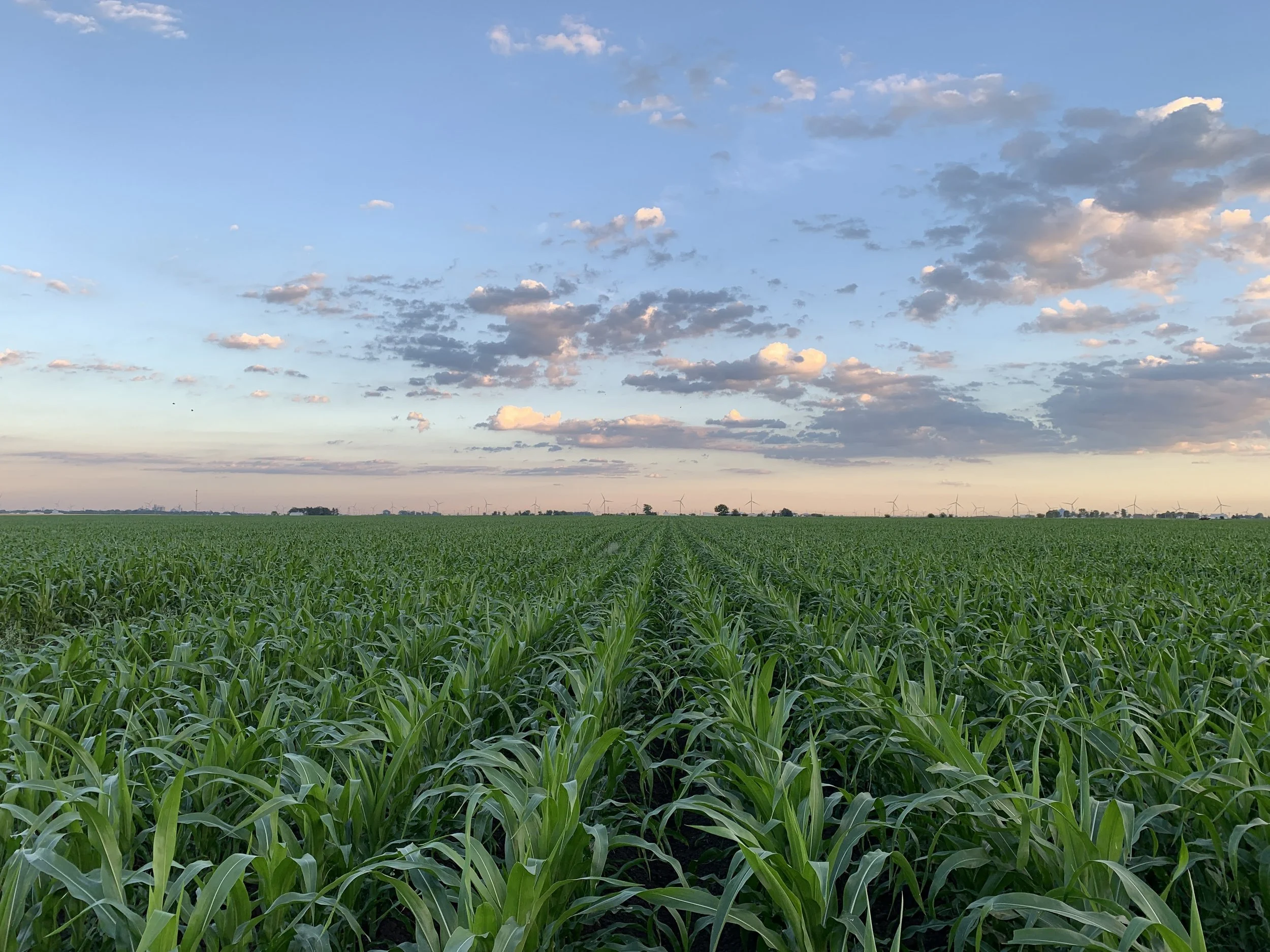 Living Prairie Farms