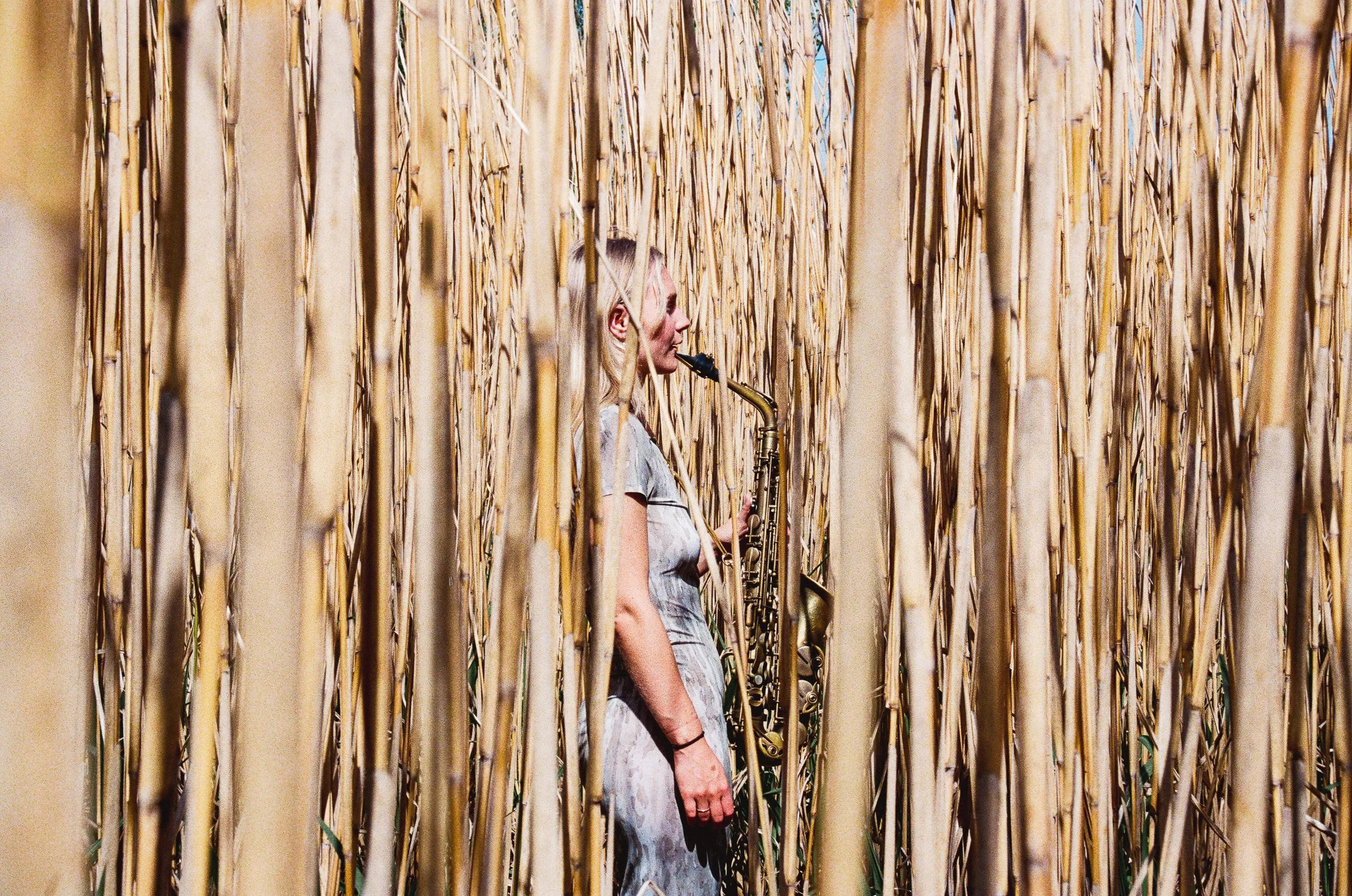 about | Discover Laura's Journey — Laura Misch