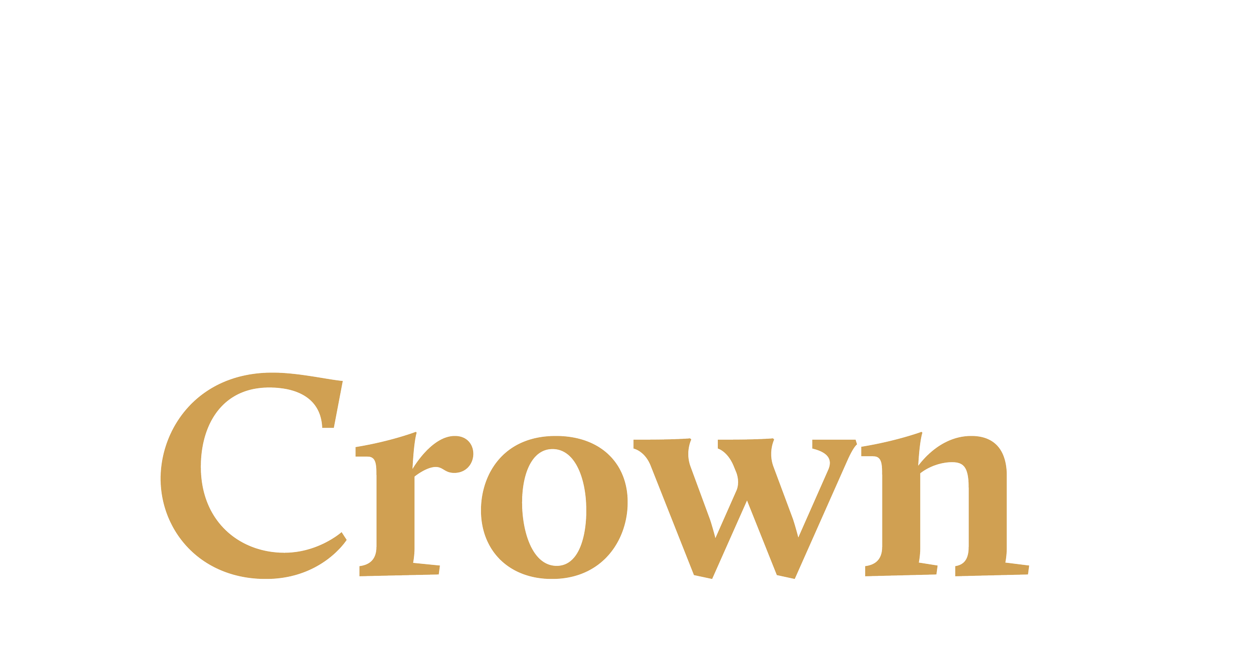 Audition — Carolina Crown