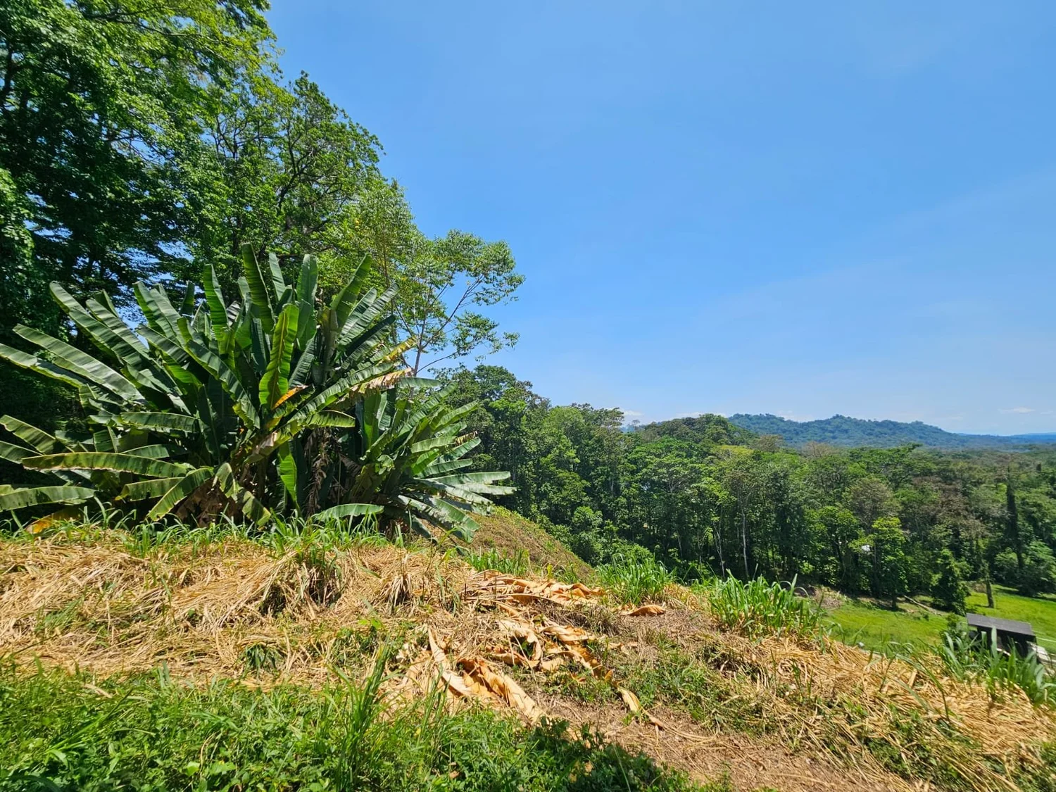 Looking to purchase property in Puerto Viejo, Costa Rica? Our "My Puerto Viejo Realtor" website ...