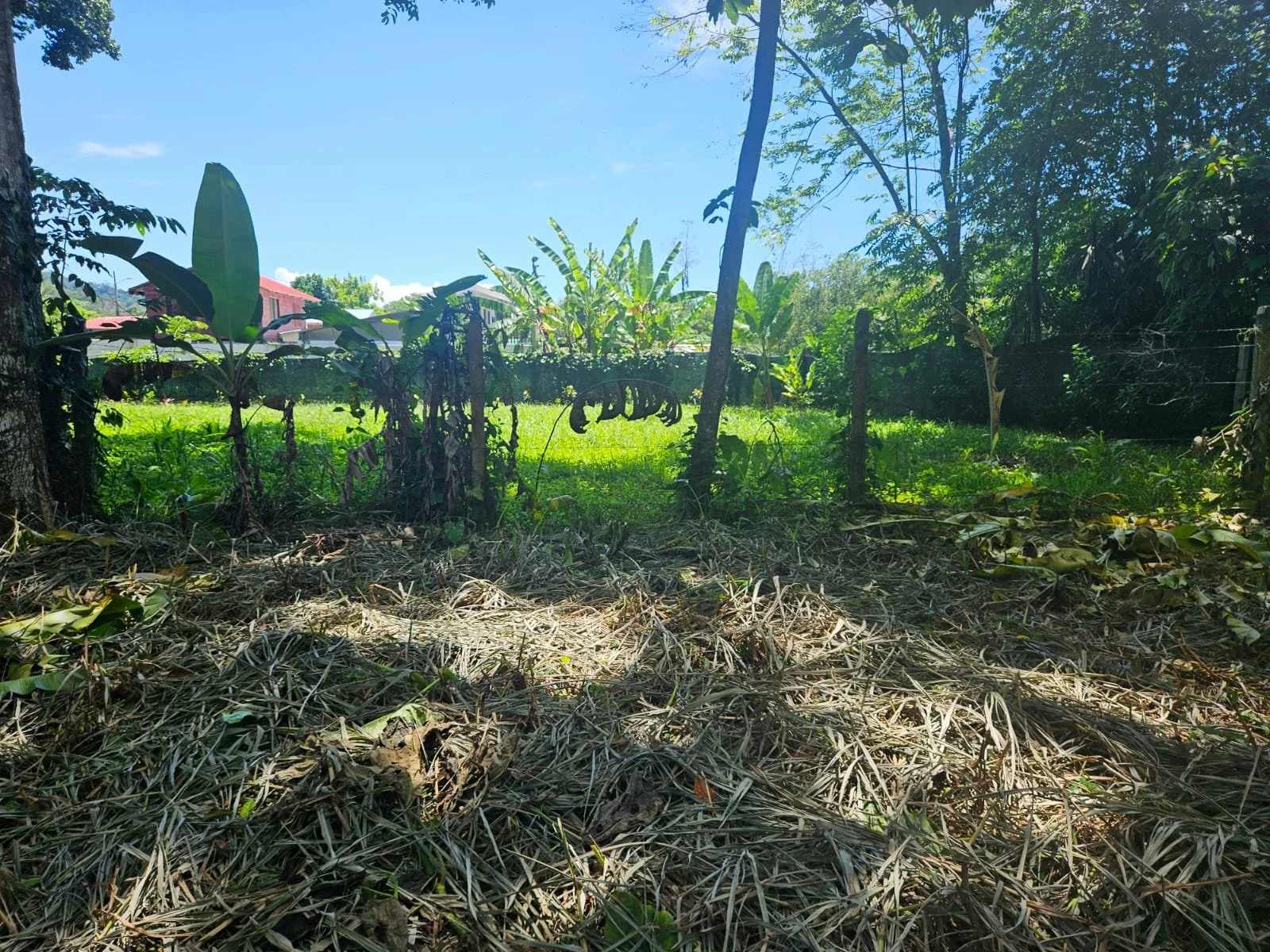 Looking to purchase property in Puerto Viejo, Costa Rica? Our "My Puerto Viejo Realtor" website ...