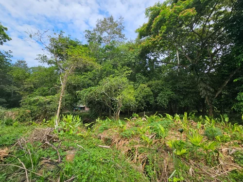 Looking to purchase property in Puerto Viejo, Costa Rica? Our "My Puerto Viejo Realtor" website ...