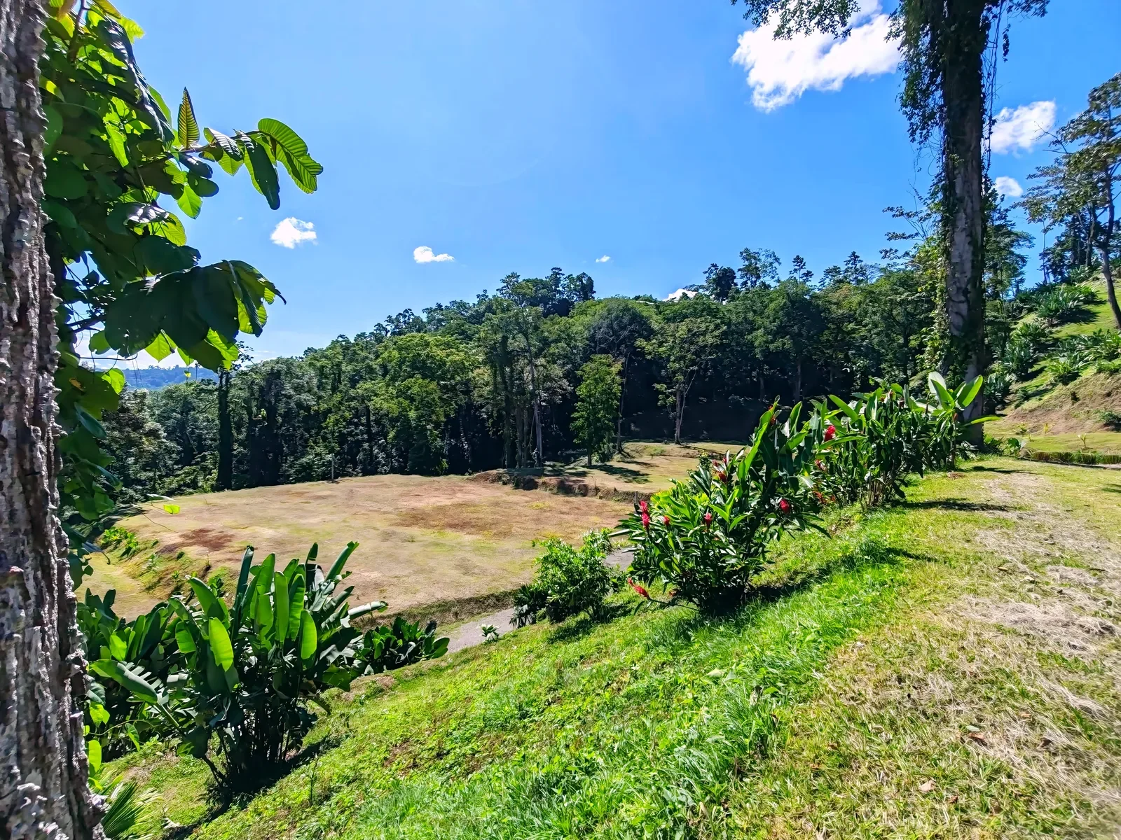 Ocean View Land for Sale Near Puerto Viejo & Cahuita — My Puerto Viejo ...