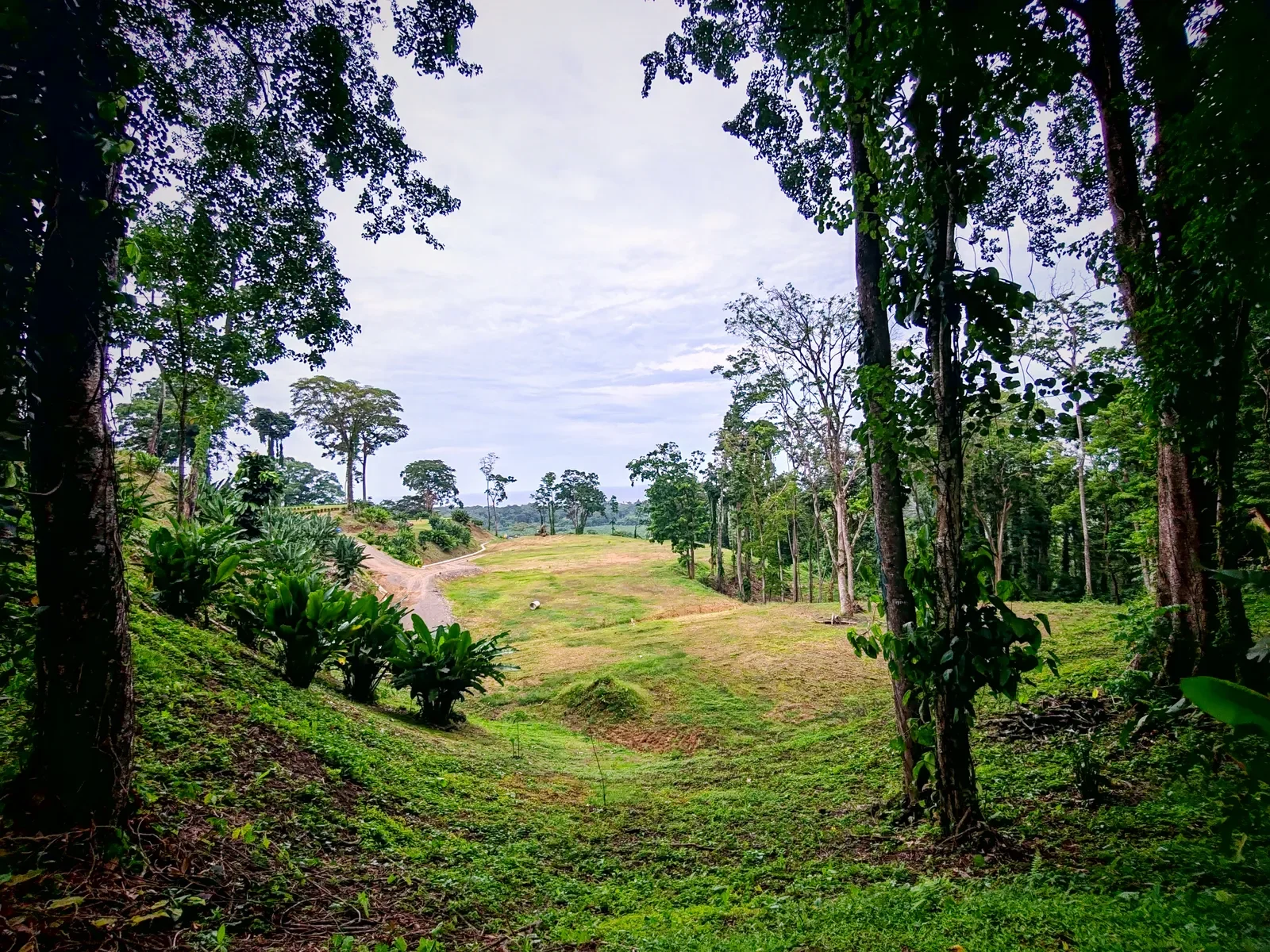 Ocean View Land for Sale Near Puerto Viejo & Cahuita — My Puerto Viejo ...