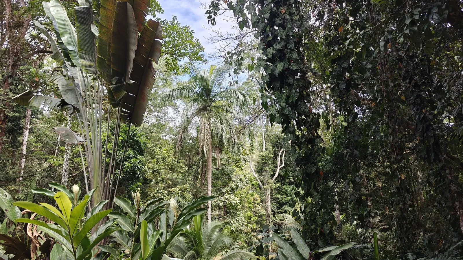 Private Jungle Estate with River | 18,842m² — My Puerto Viejo Realtor
