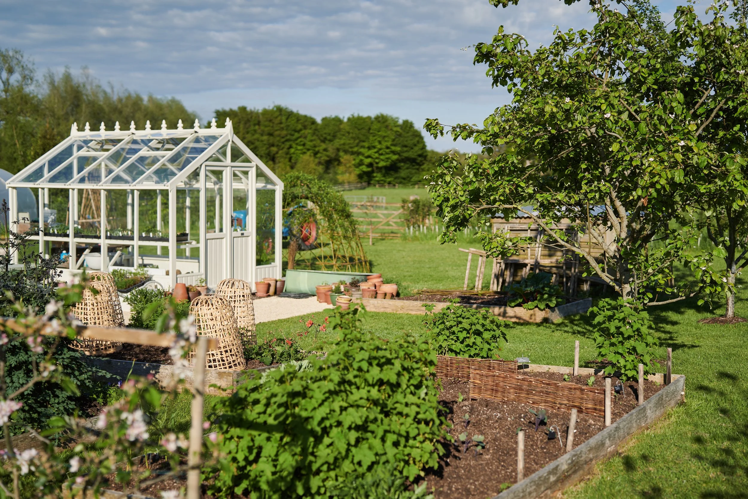 Contact Instagram Vouchers