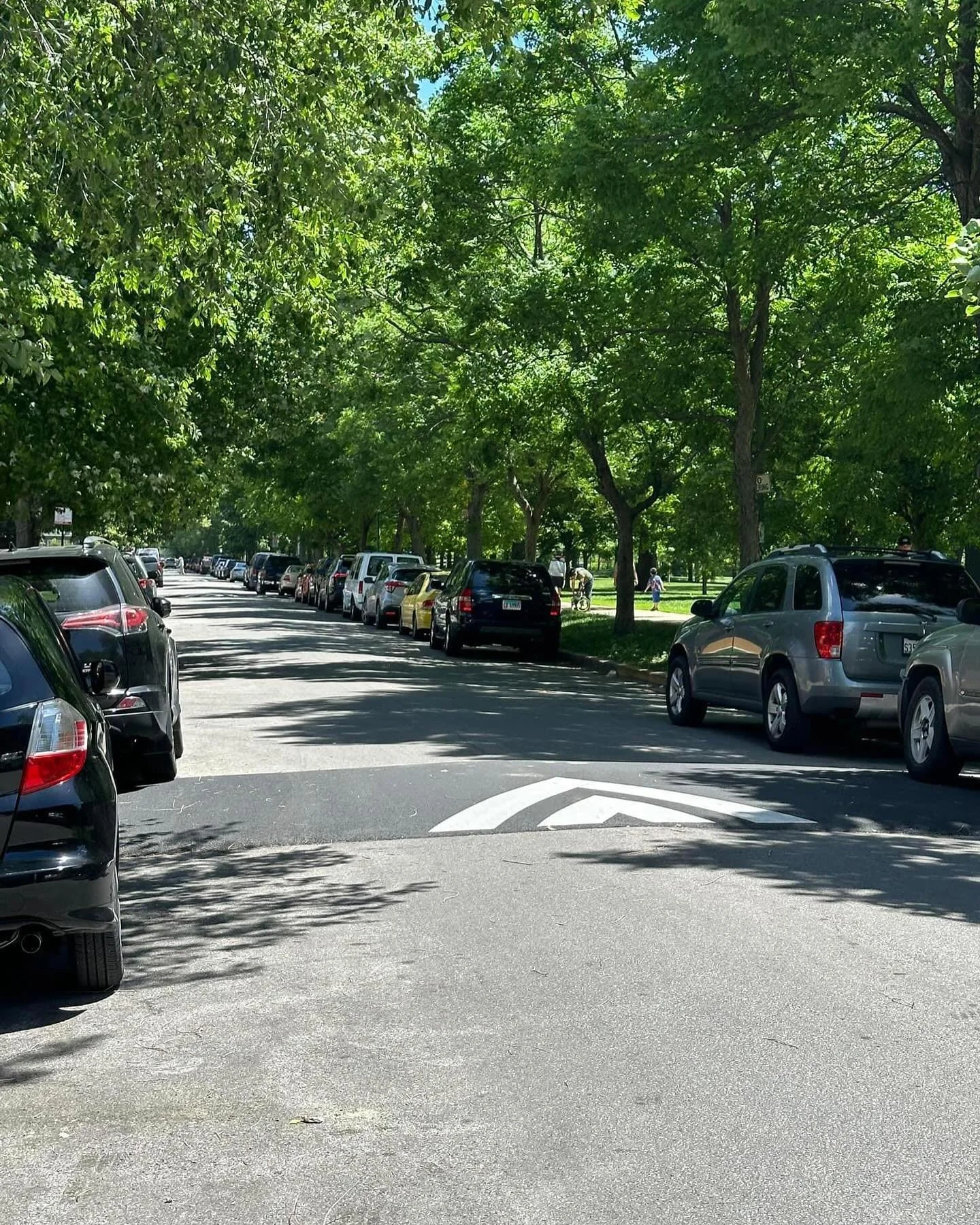 Julia Ramirez - 12th Ward Alderwoman