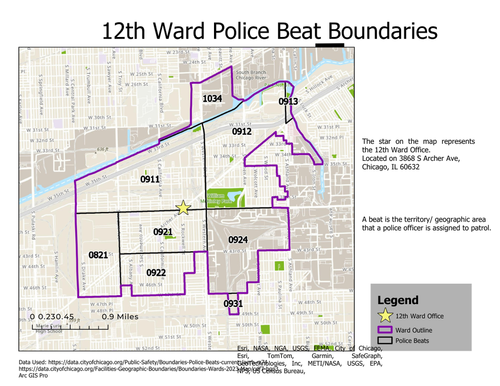 Public Safety — Julia Ramirez - 12th Ward Alderwoman