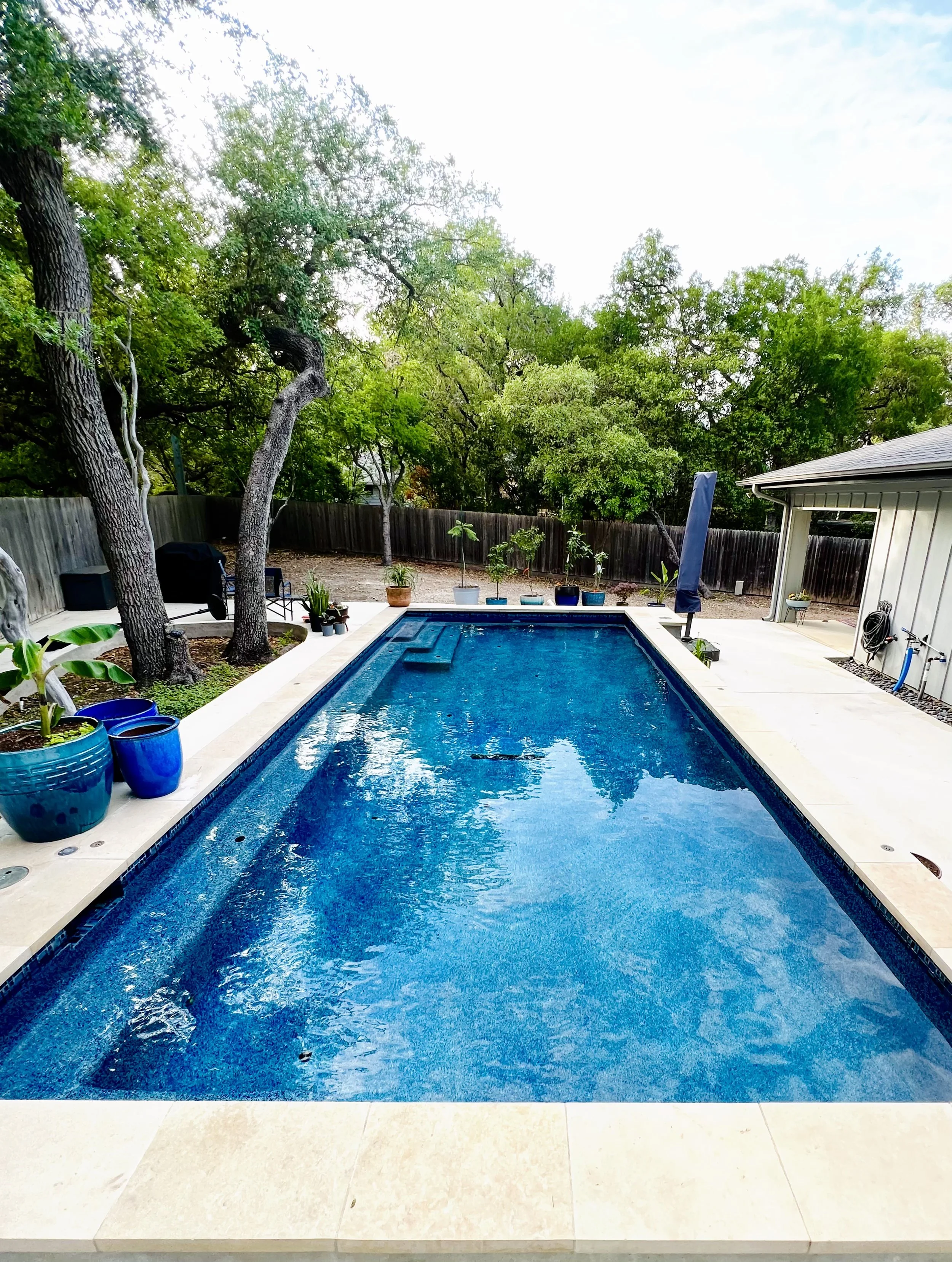 Blue Whale Pool & Spa
