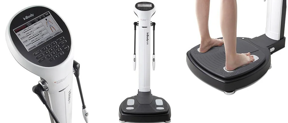 InBody Scans In Phoenix - Get a Body Composition Analysis — Sol CrossFit