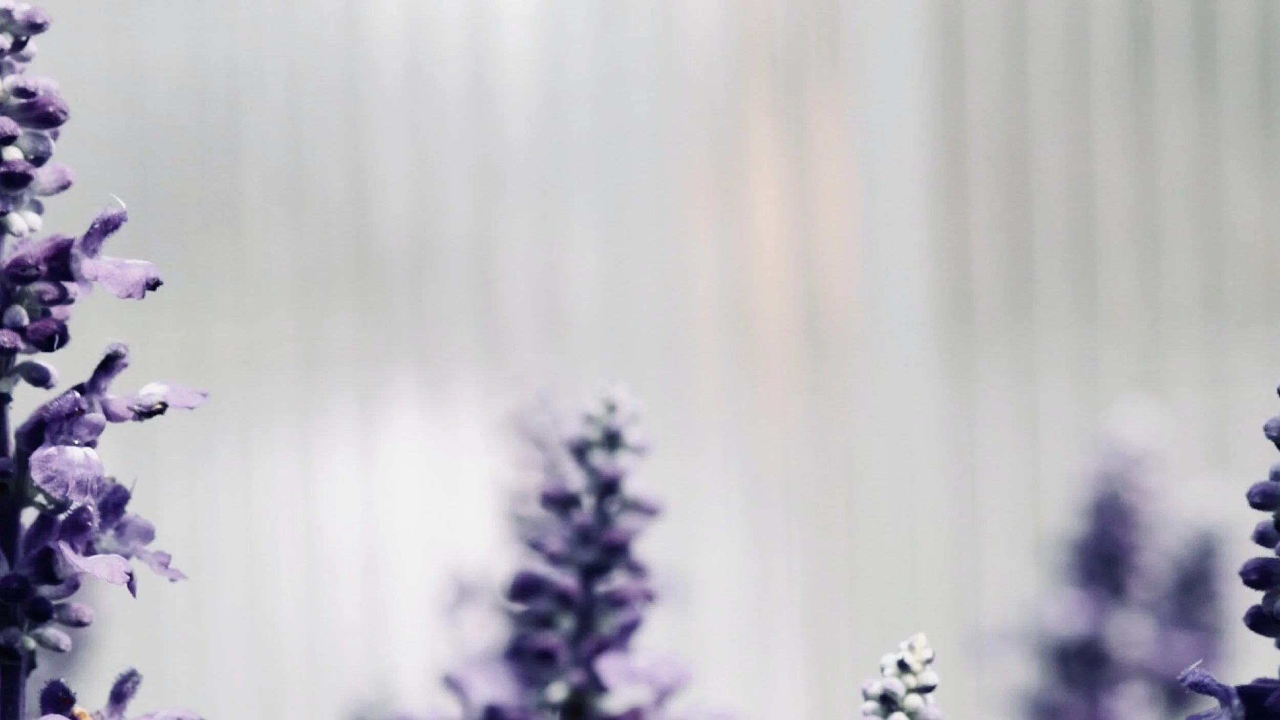 Radiant Life Wellness Coaching