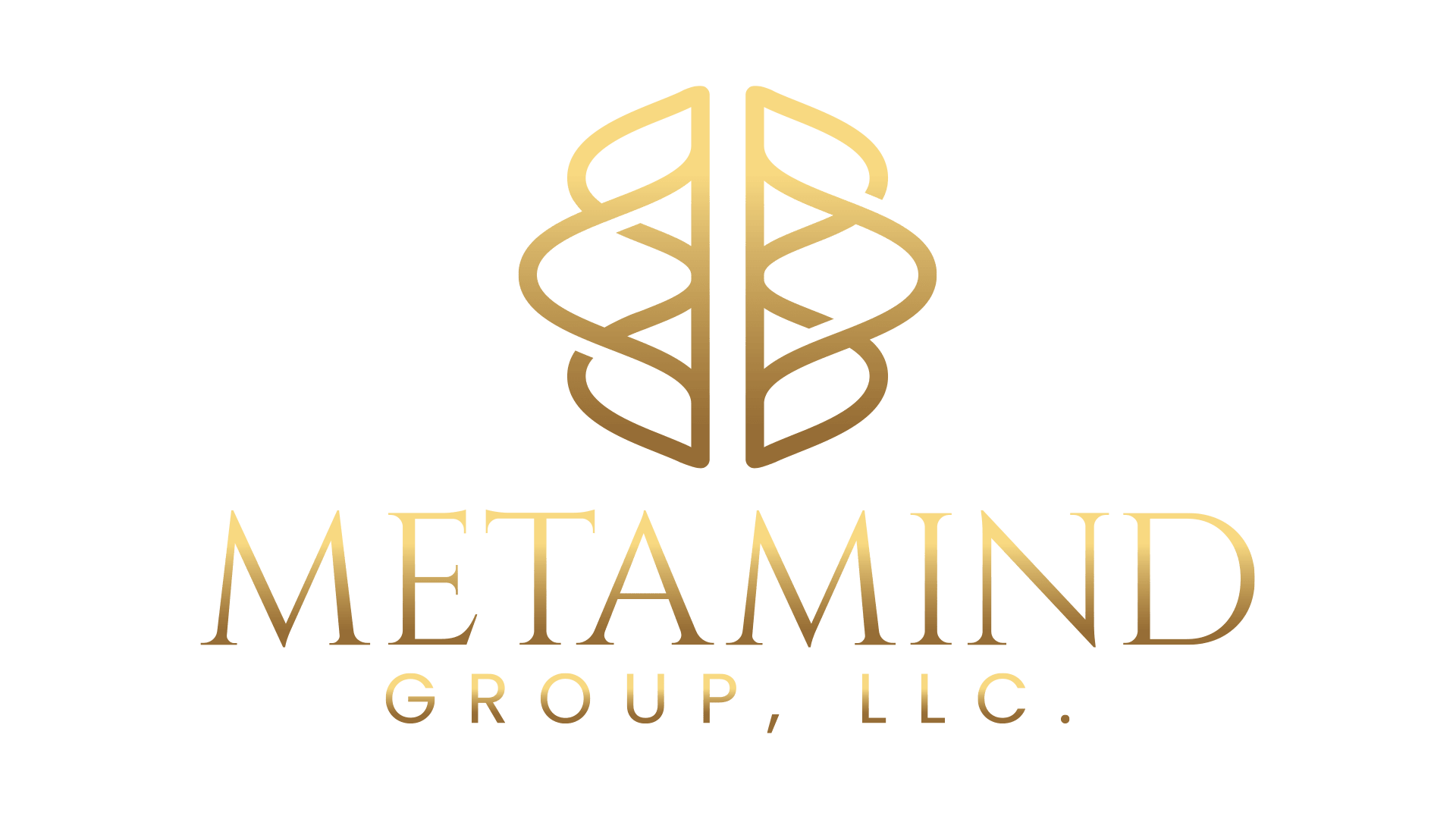 MetaMind Group, LLC