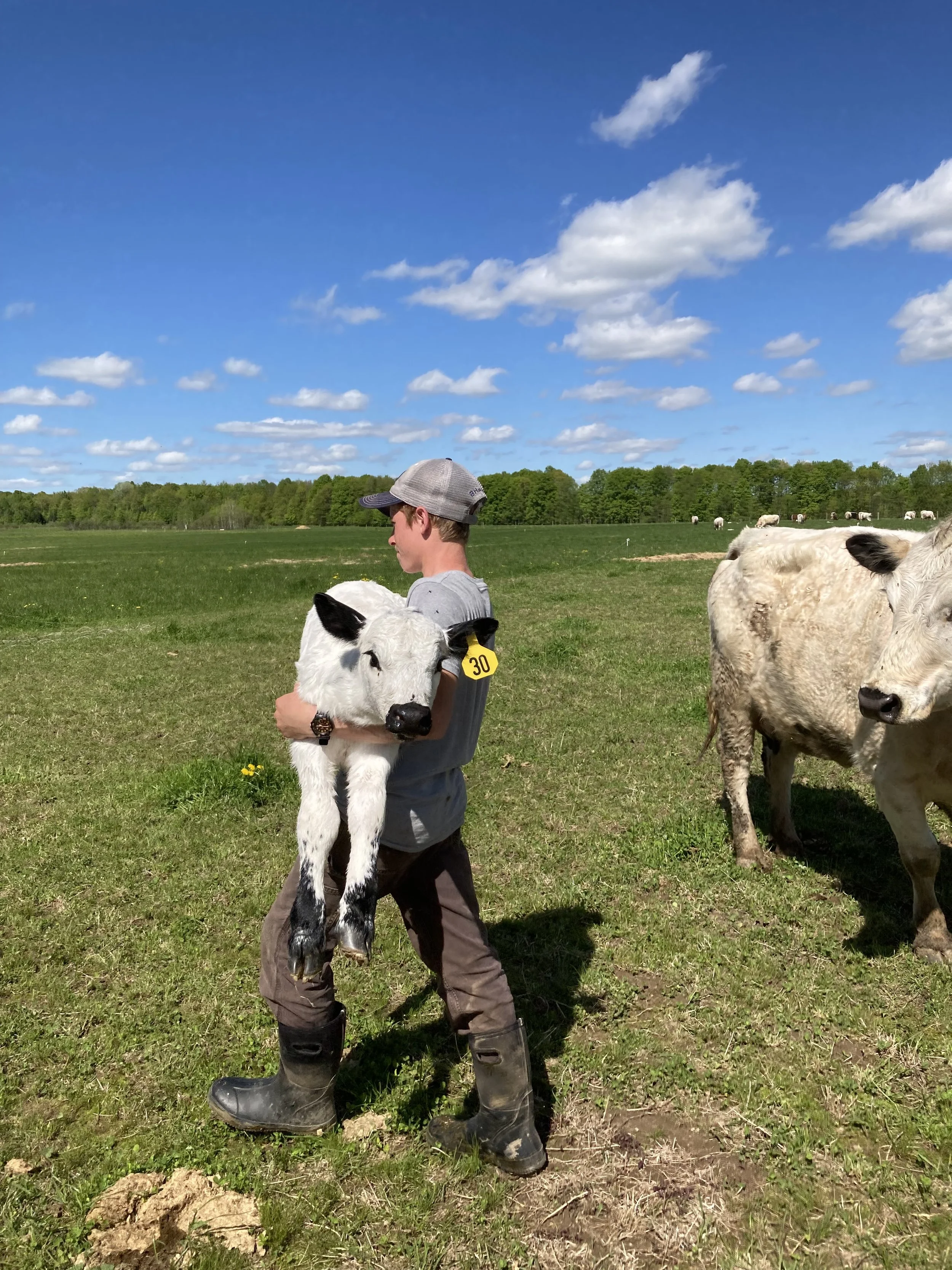 About — Bella Hof Family Farm