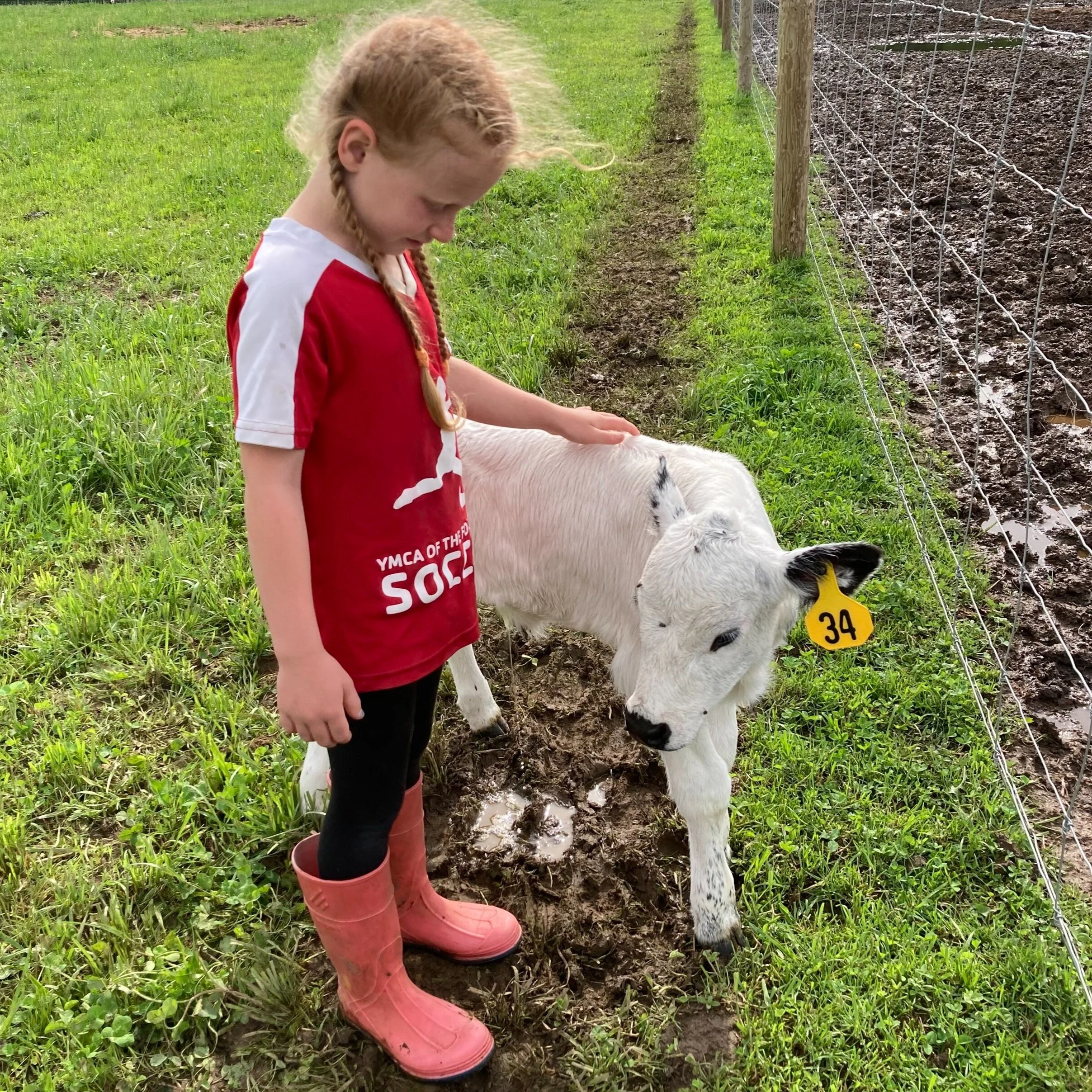 Bella Hof Family Farm | Pastured-Raised Beef, Pork & Chicken | Aniwa, WI