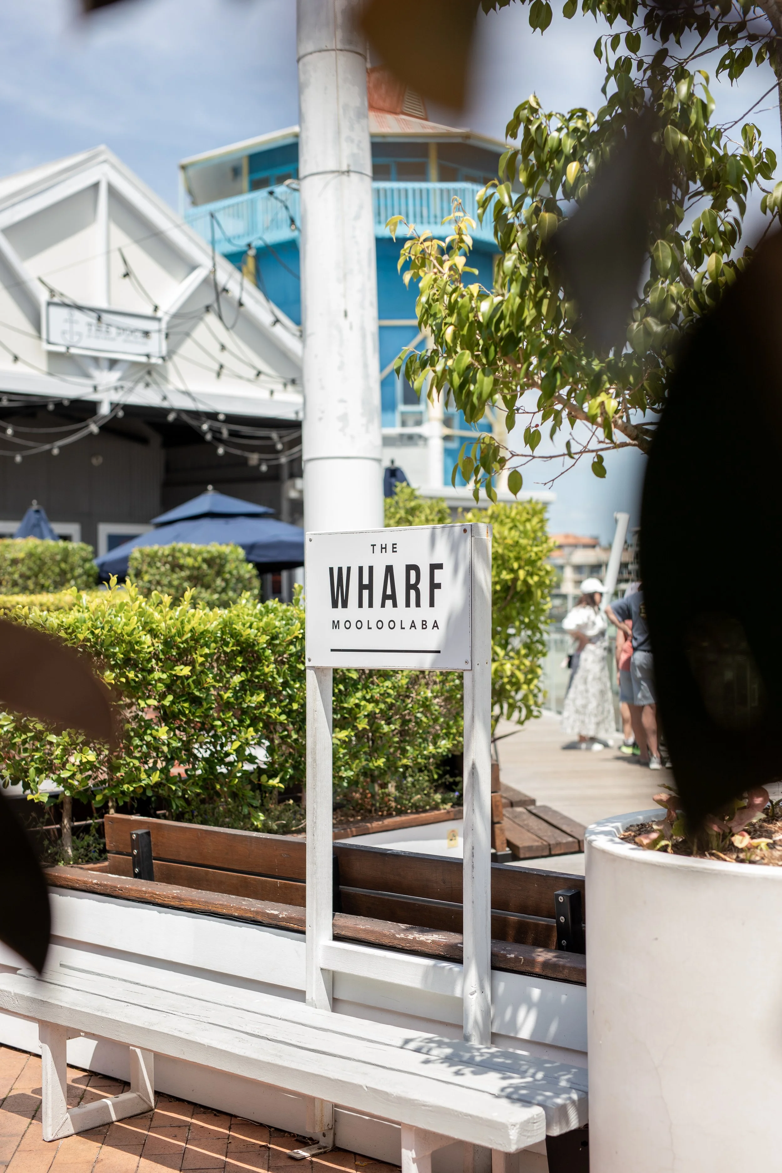 Explore Mooloolaba | Find Your Dream Home Today — Whisker Coastal ...