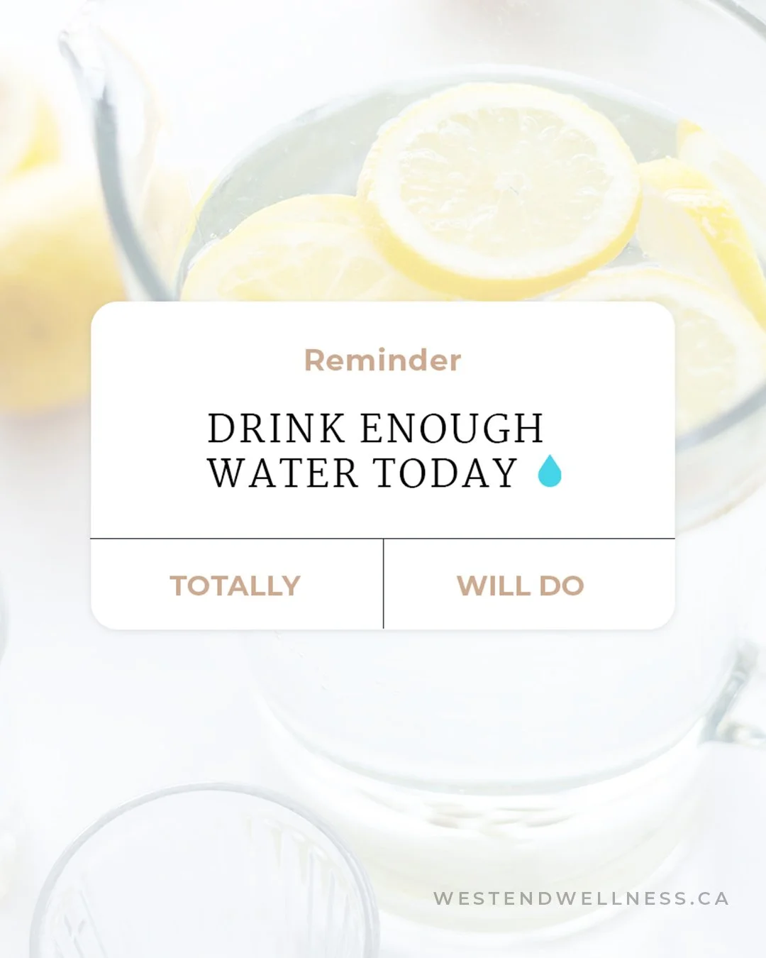 What is Moxibustion And The Healing Powers of Moxa?