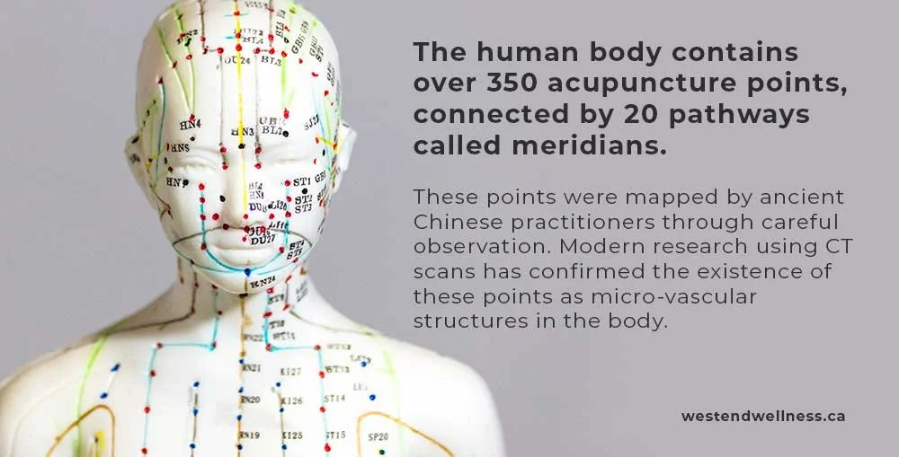 Holistic Benefits And What Does Acupuncture Do for Your Body?