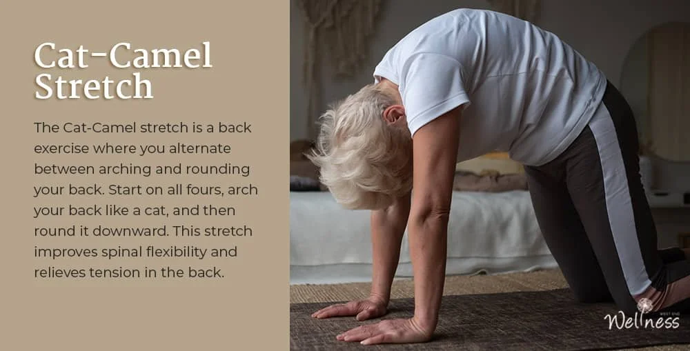 Flexibility and Joint Mobility: Improve Your Range