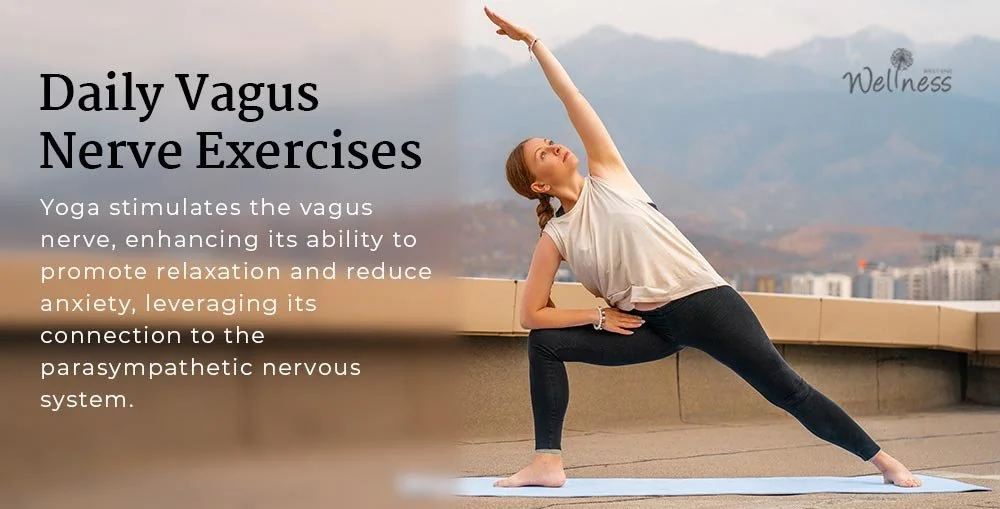 Acupuncture and Vagus Nerve: Key to Holistic Health