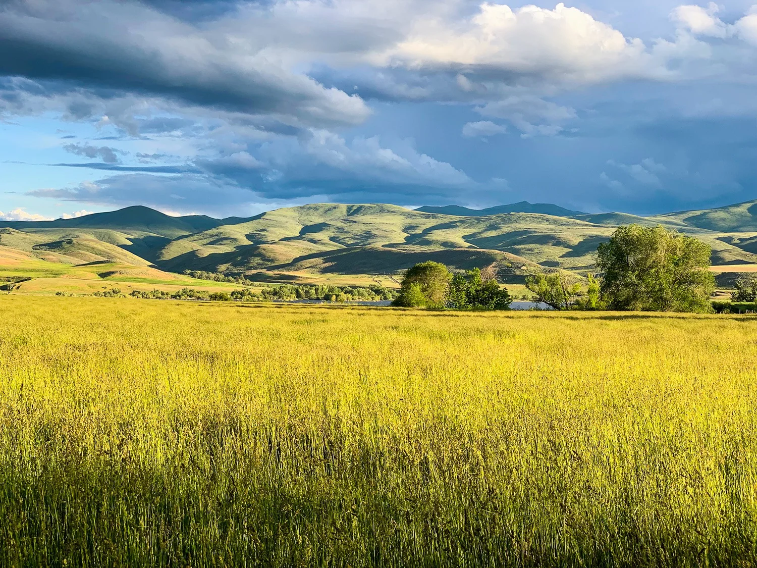 The Fisherman's Cottage: An Alternative to Richland Oregon Hotels and ...