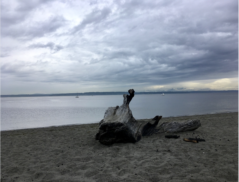 Pacific Northwest Road Trip 1-Week Itinerary: Washington & Oregon ...