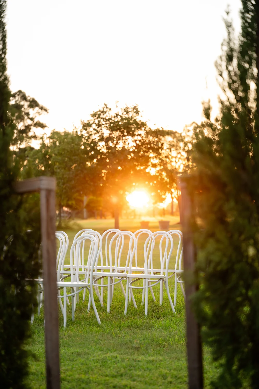 The Sienna Hunter Valley — Jack Ham Imagery